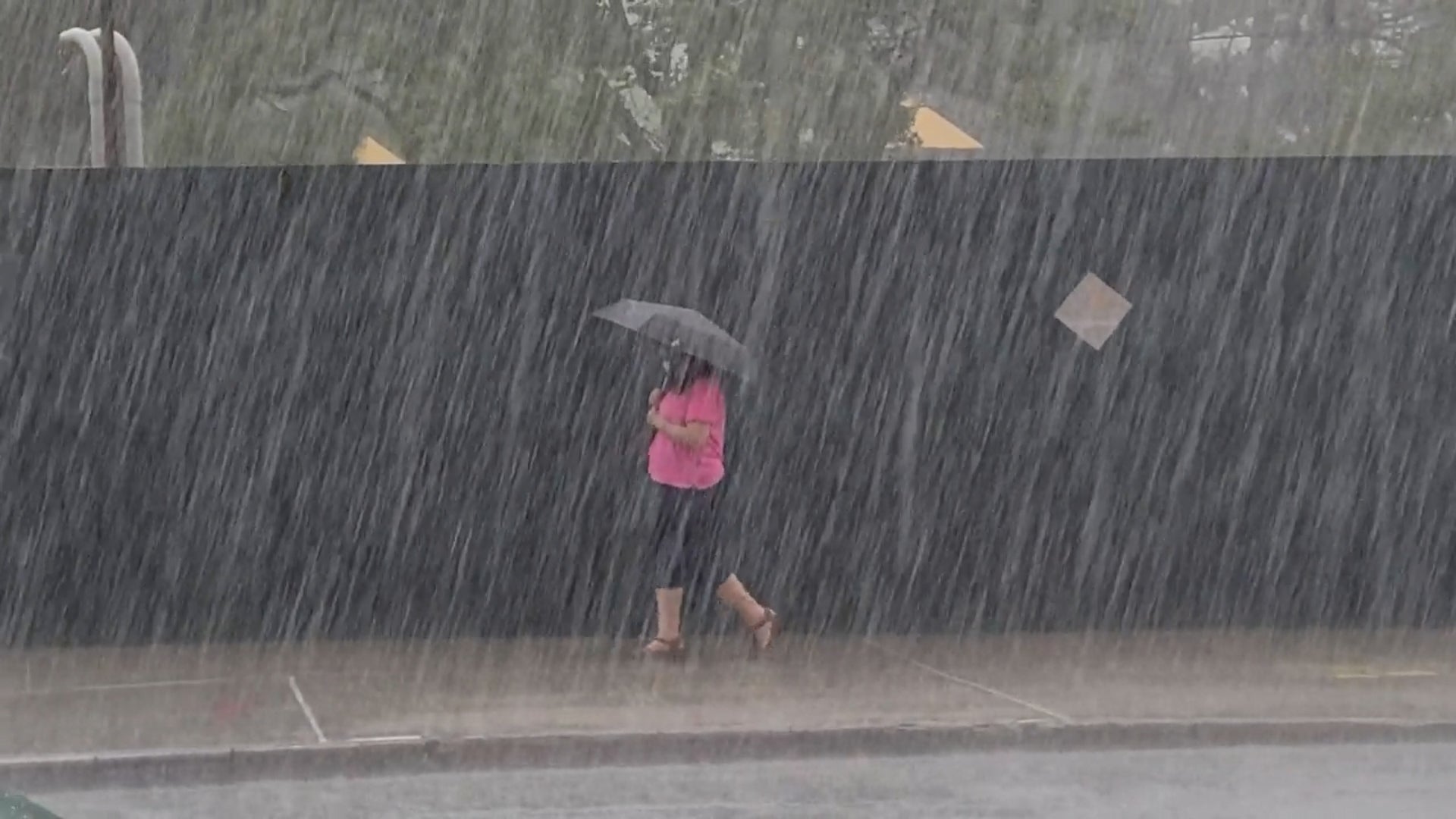 Why we say 'raining cats and dogs'