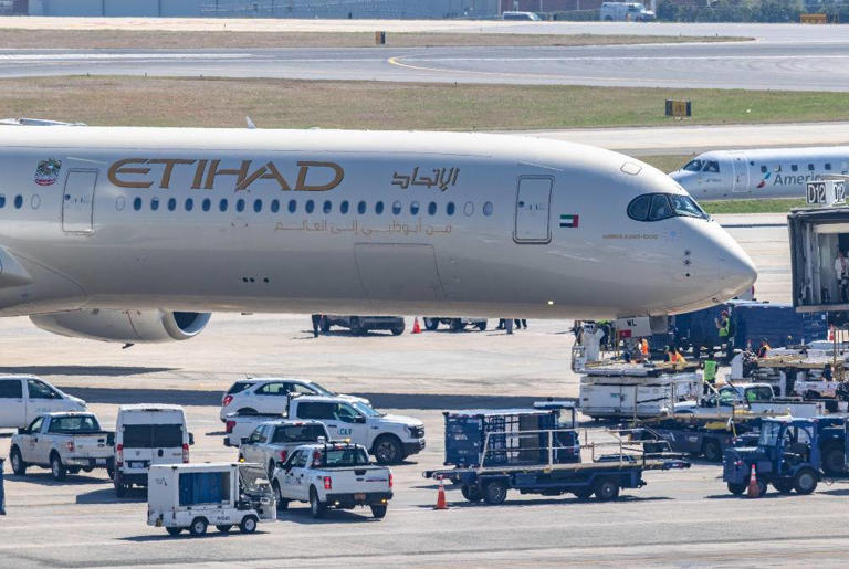 Etihad flight cancelled in Chennai after wing fire