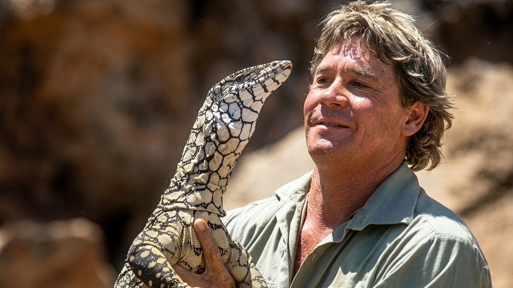 Steve Irwin just wanted one final shot - seconds later he was dead