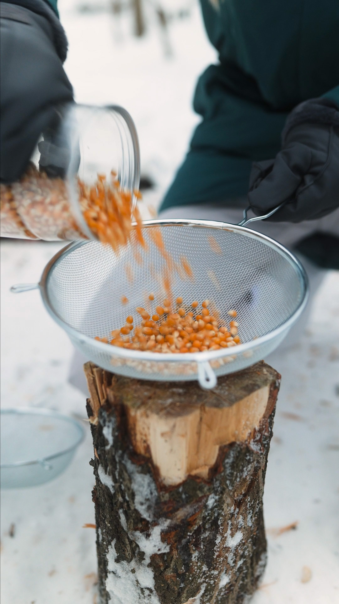 Roast popcorn on the fire