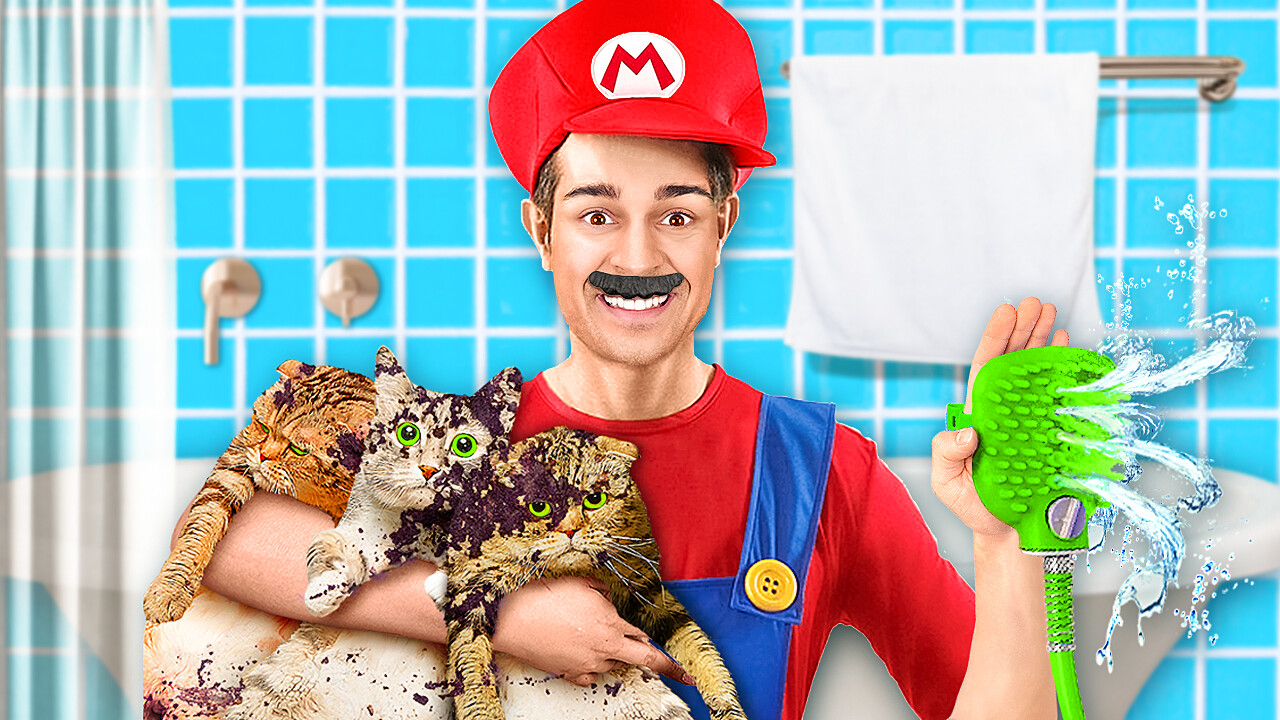 Innovative solutions for pet care: Must-have gadgets and fun hacks