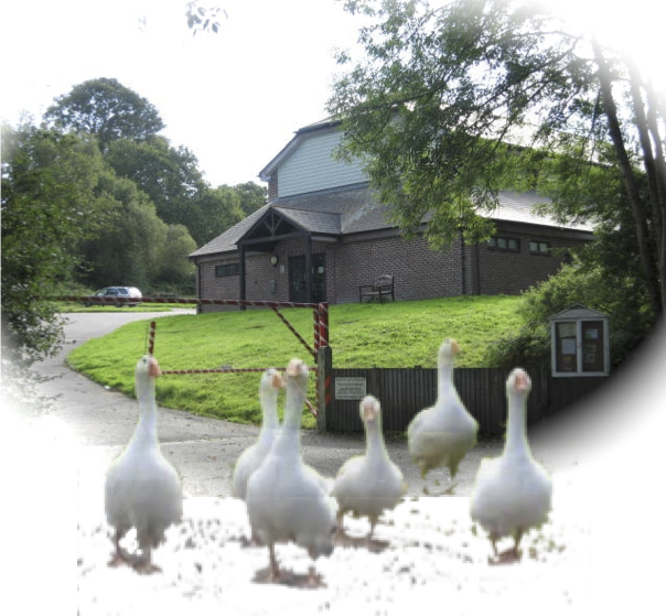 Sedlescombe village voice