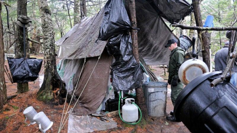 The ghost of the woods: Man lived alone in a forest for 27 years after ...