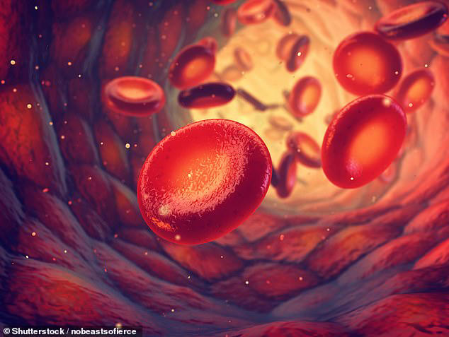 New blood test could identify heart and kidney disease years before ...