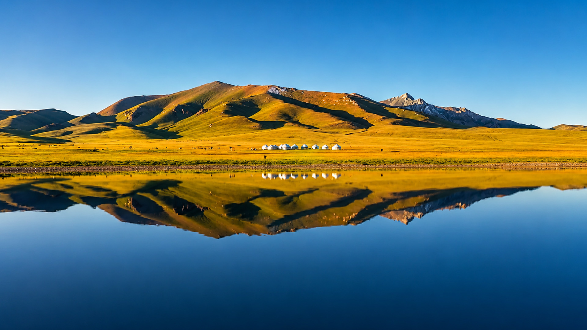 Would you stay in a camp this remote?