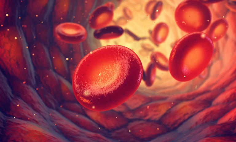New blood test could identify heart and kidney disease years before ...