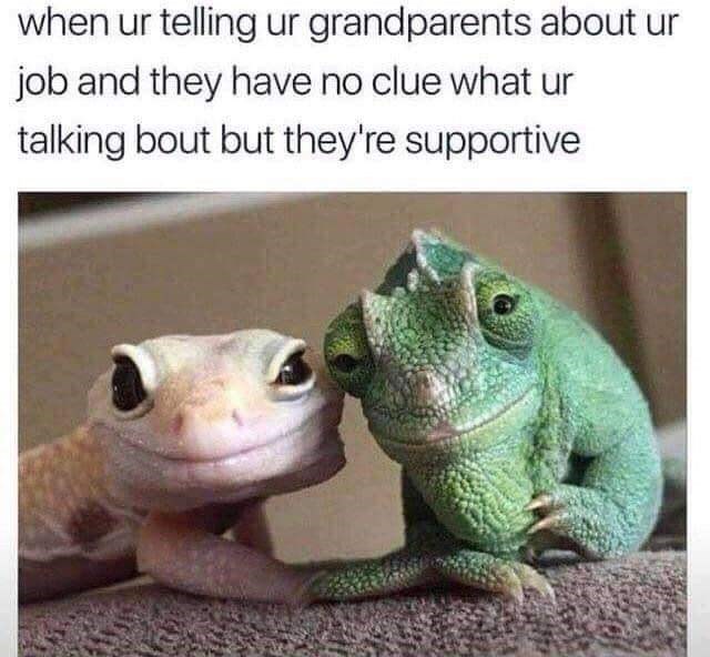 Scaly smiles: 22 lizard memes to warm your cold-blooded heart