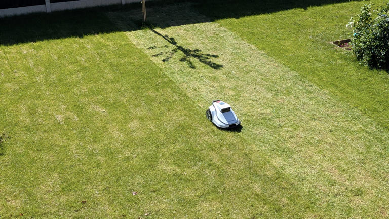 TerraMow V600 review: A robot mower that delivers excellent bang for ...
