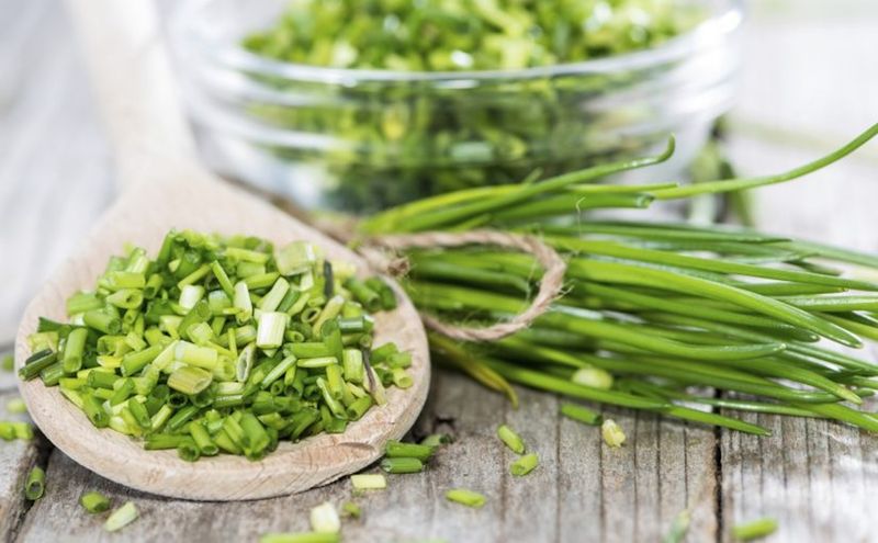 22 spring herbs that make everyday cooking magical