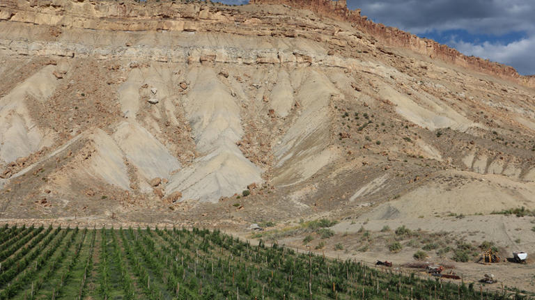 Western Colorado's largest city is a mountain gem in the heart of wine ...