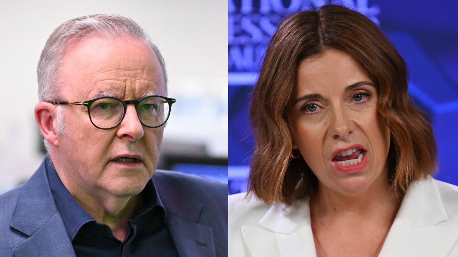 ‘Sordid affair’: PM urged to sack Anika Wells over birthday party ...