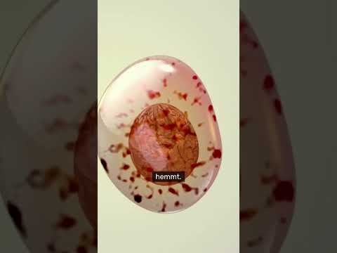 Ivermectin gegen Viren: Diesen Hantavirus-Mythos sollten Sie lieber ...