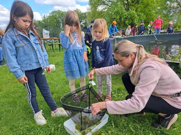 Kinder erforschen mit Kescher und Lupe das Leben im Teich