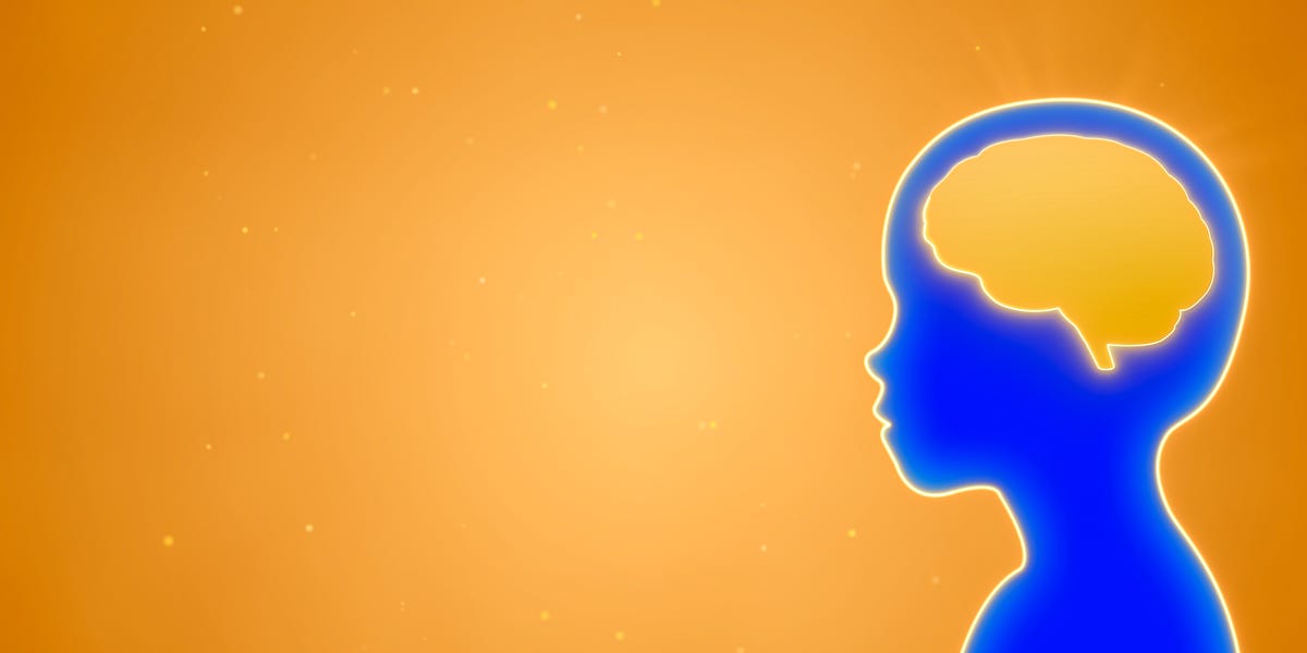 Scientists discovered your brain wasn’t empty when you were born