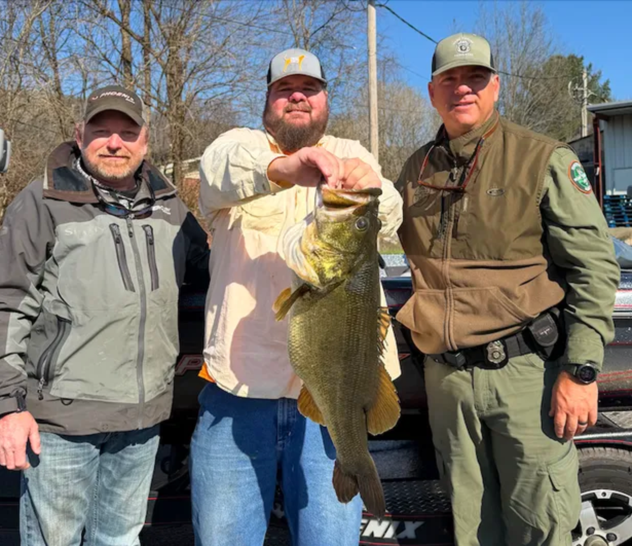 Fisherman has largemouth bass catch confirmed as a record in Tennessee