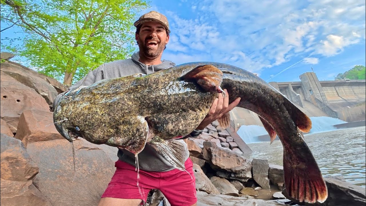 Angler stuns social media with massive 35-pound river monster