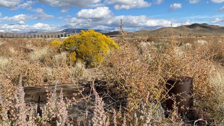Nestled in Nevada's countryside is a charming little city surrounded by ...