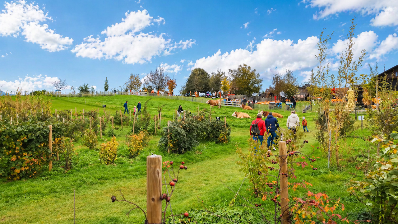 Une journée paisible dans la célèbre ferme à citrouilles de Suisse