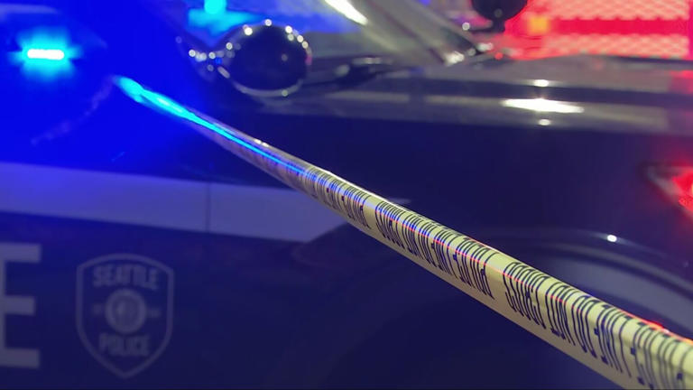 Police: Man critically injured after fight outside North Seattle bar ...