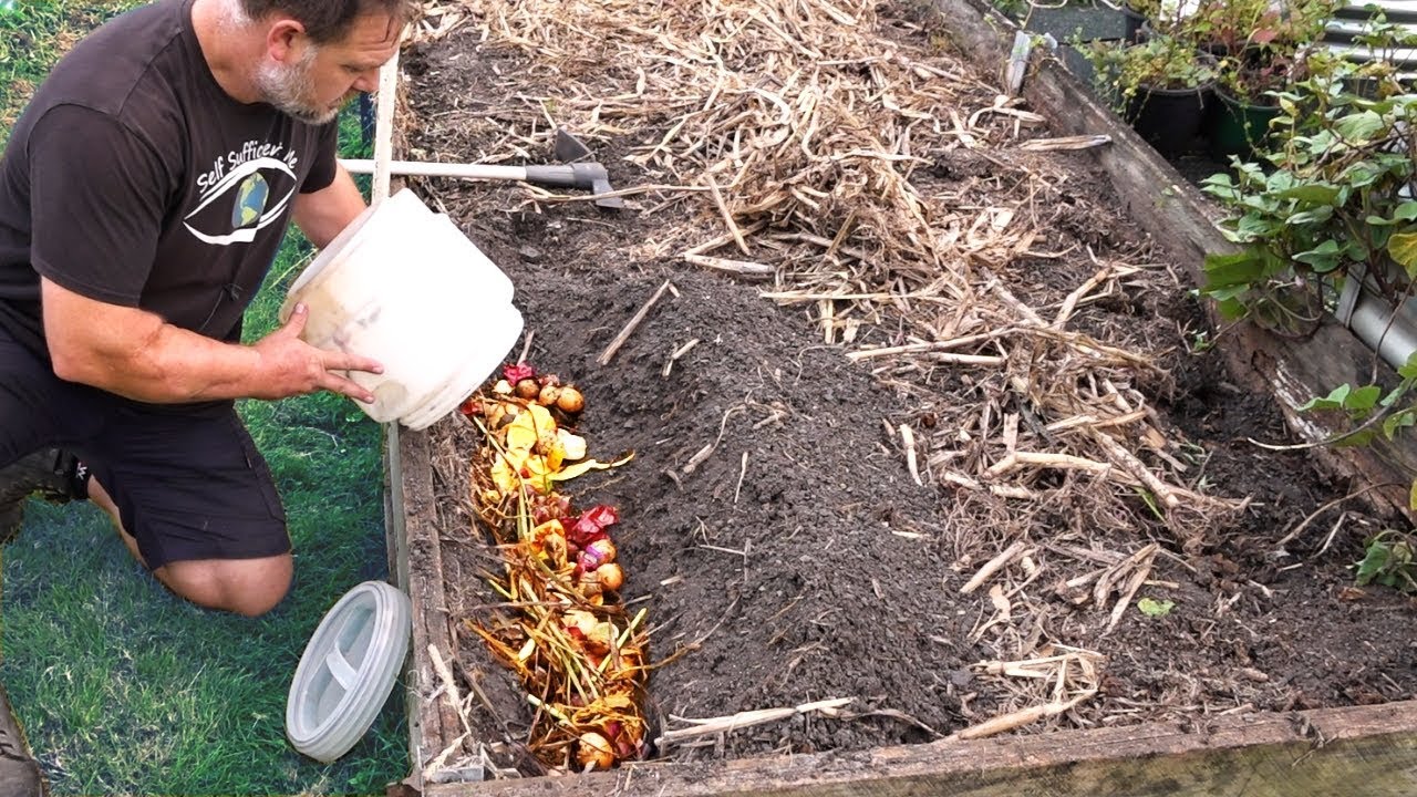 Burying kitchen scraps: The easiest way to enrich your garden soil!