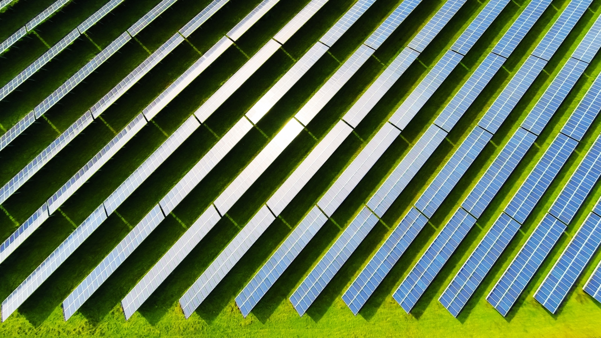 Institutions supporting 'implausible' renewable energy targets at 'any ...