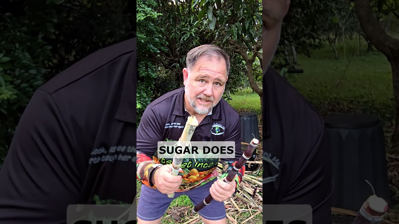 Good sugar