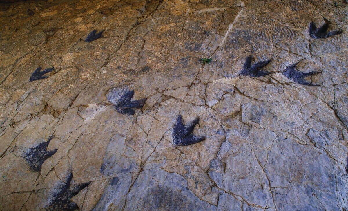 For 20 years, no one noticed this ordinary school rock until scientists ...