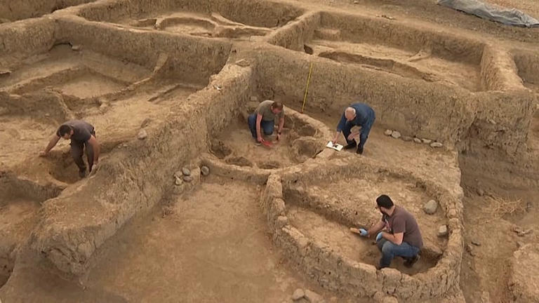 Αποτύπωμα σιταριού 8.000 ετών στη Γεωργία ανατρέπει την προέλευση του ...