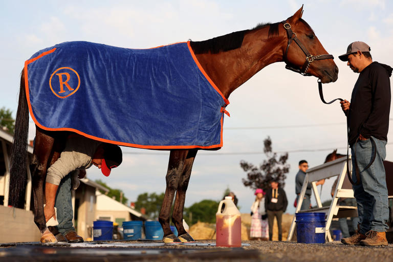 Kentucky Derby: Horse numbers for full field, updated odds, post ...