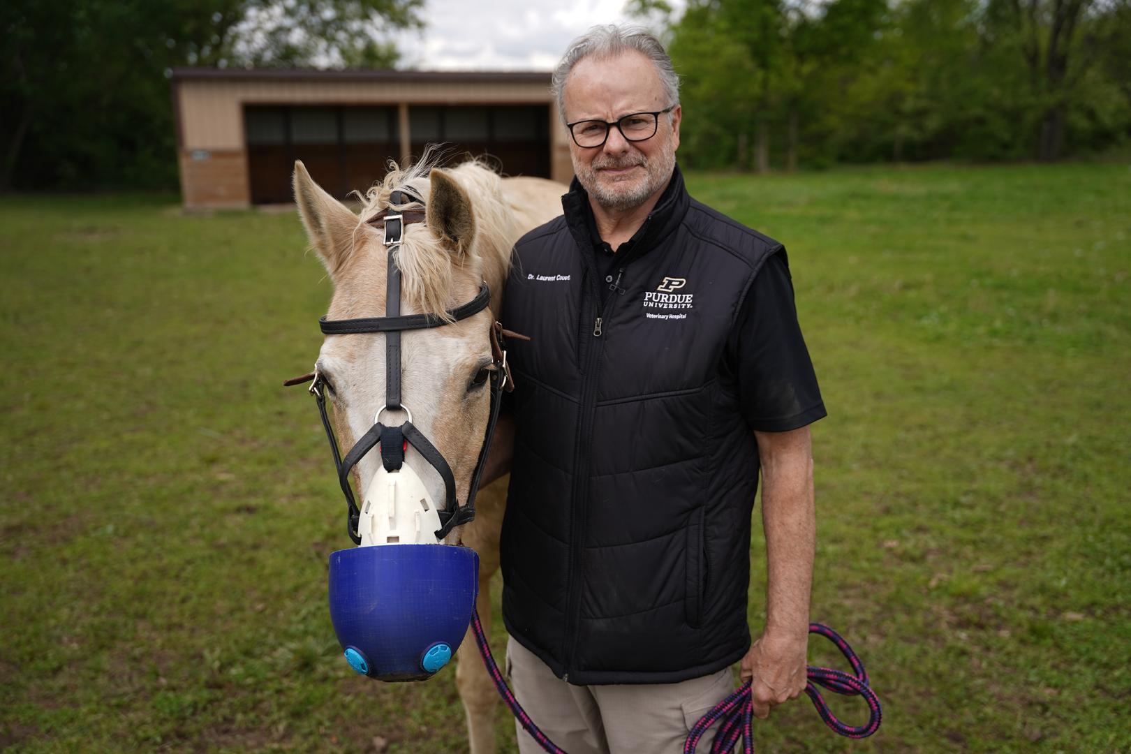 Horses have asthma, too. Research on their condition may help humans