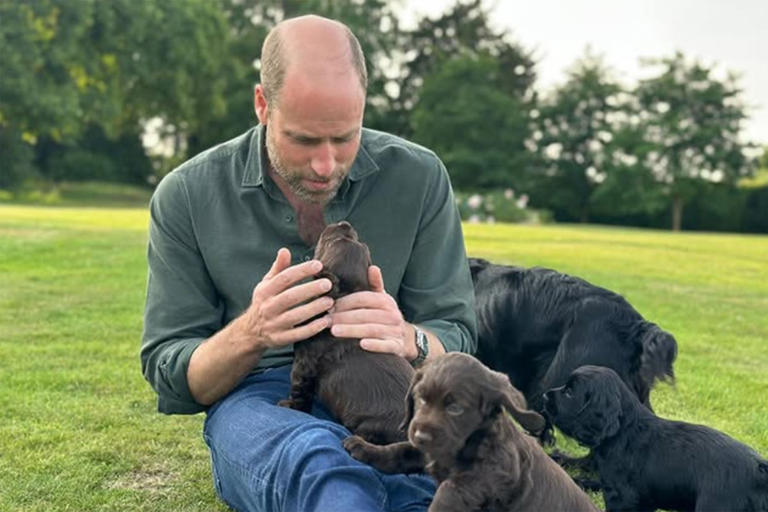William and Kate introduce new royal dog: 'Welcome to the family!'