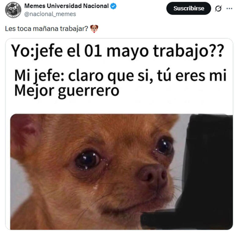 Día del Trabajo 2026: los mejores memes para reír en tu descanso este 1 ...