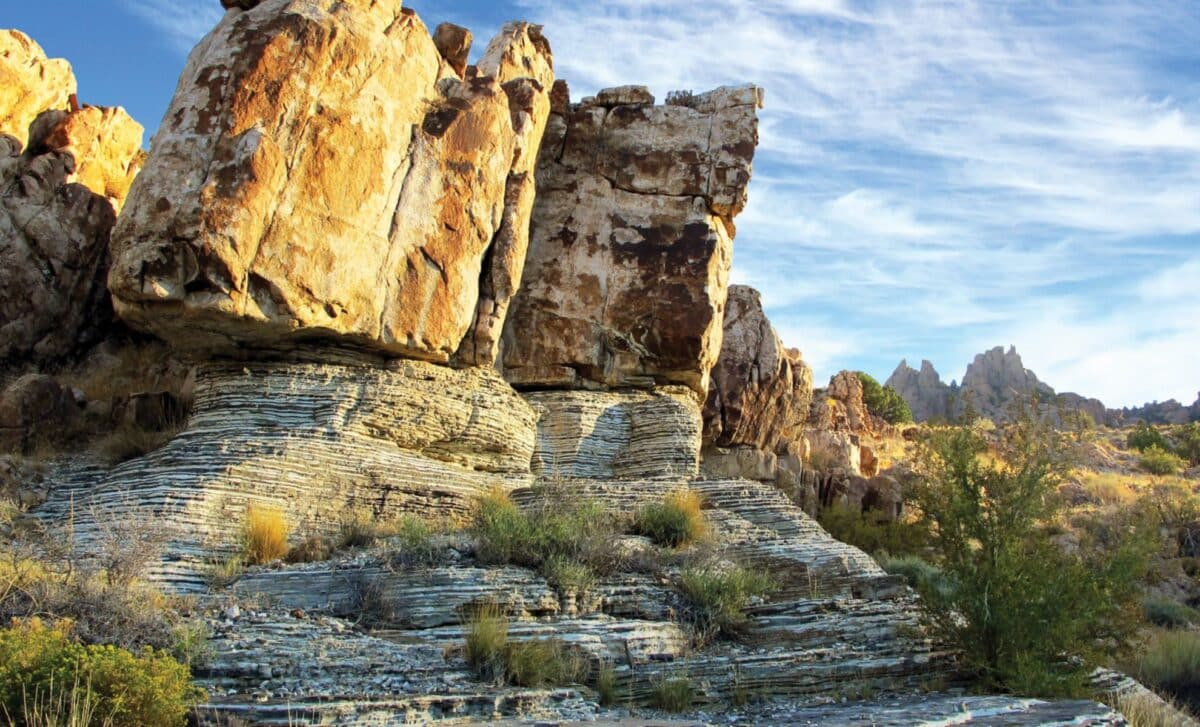 Scientists found an exceptionally preserved fossil in Utah. Then ...