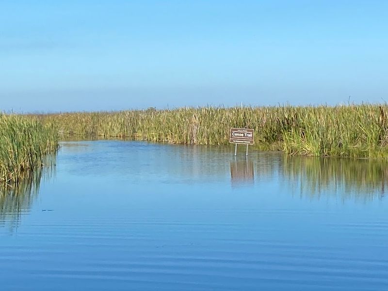 13 Florida wildlife refuges where the only thing you’ll pay is attention