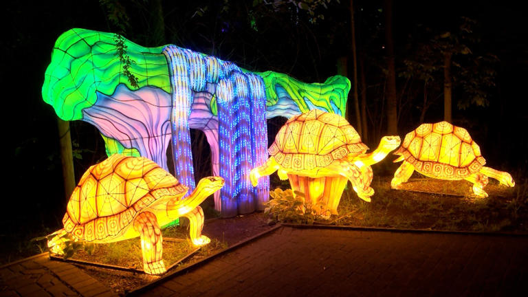 Be a tourist: Events around town May 8-10