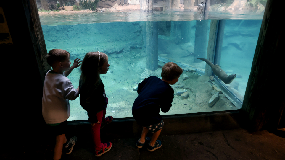 'Zoo School' provides unique experience for Fort Worth preschool-age ...
