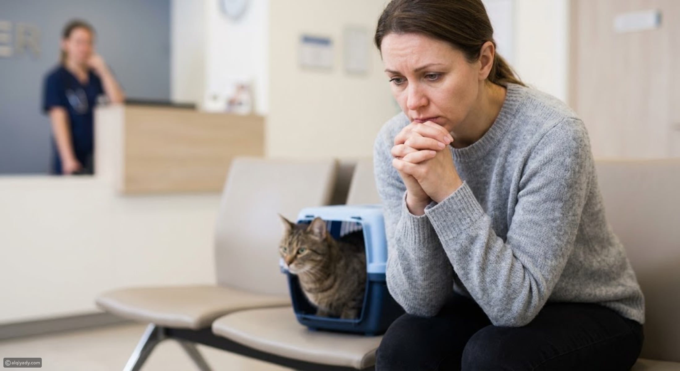 What your vet notices about you before seeing your pet