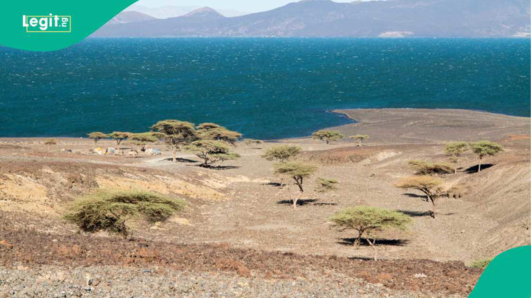 Africa’s future split: Scientists predict new ocean in Eastern rift