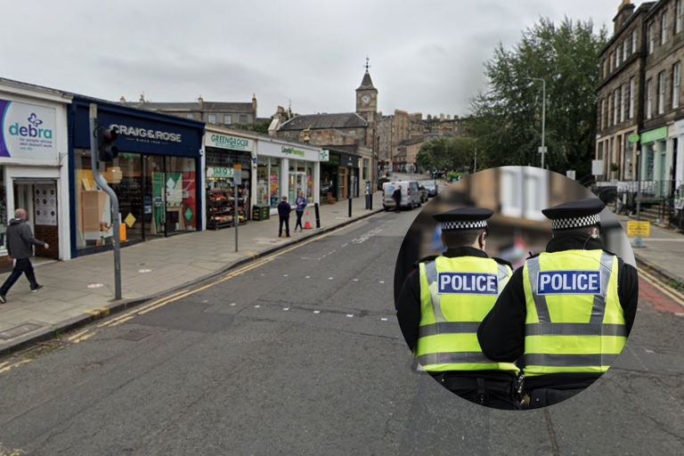 Dog killed in alleged hit and run incident in Stockbridge as van driver ...