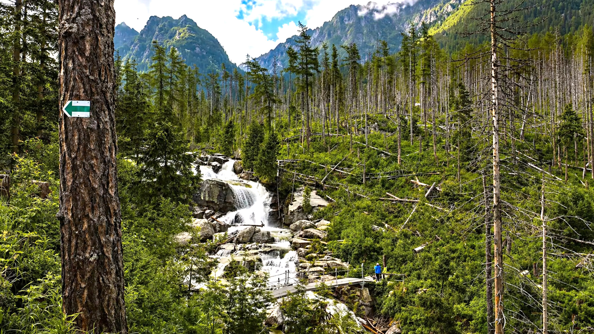 A hidden waterfall nestled in the High Tatras Mountains