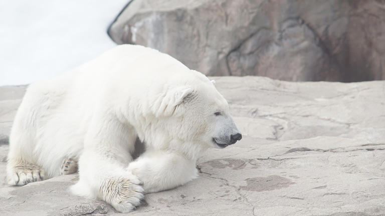 Why meteorologists are nervously watching these 5 unusual weather patterns
