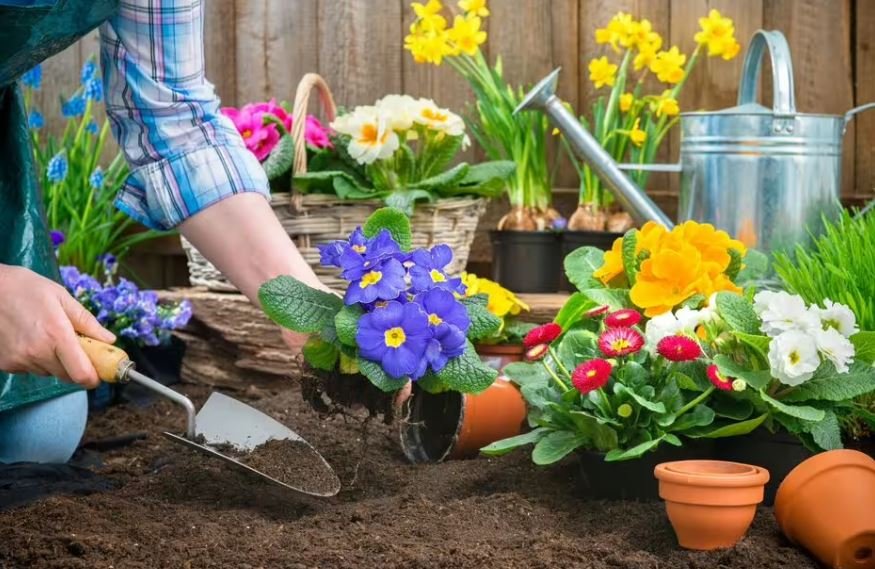 Urgent warning for gardeners about a beloved spring flower