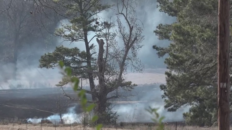 Rep. Moran introduces bill to aid East Texas forest recovery after ...