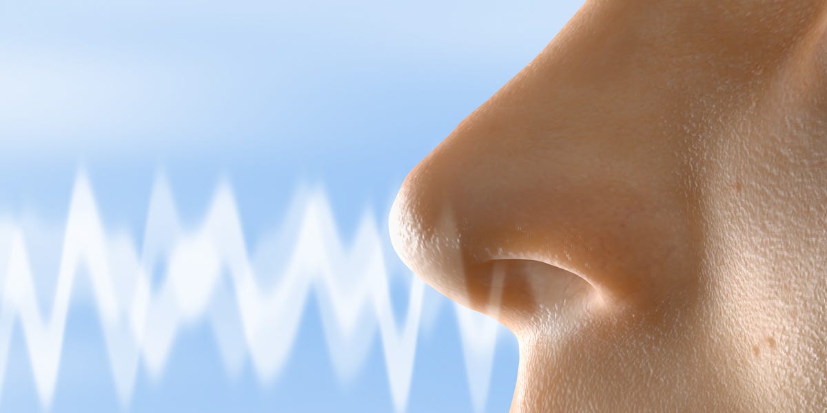 Scientists just mapped our sense of smell—and solved a major sense mystery
