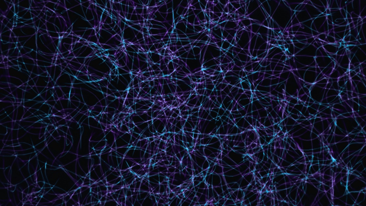 New PTP1B protein blocker shows promise against Alzheimer’s in mice