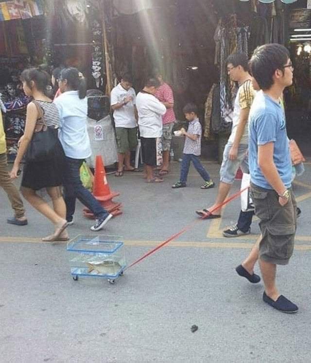 19 photos of people lighting common sense on fire