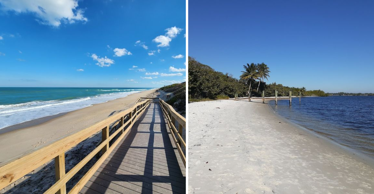 13 Florida wildlife refuges where the only thing you’ll pay is attention
