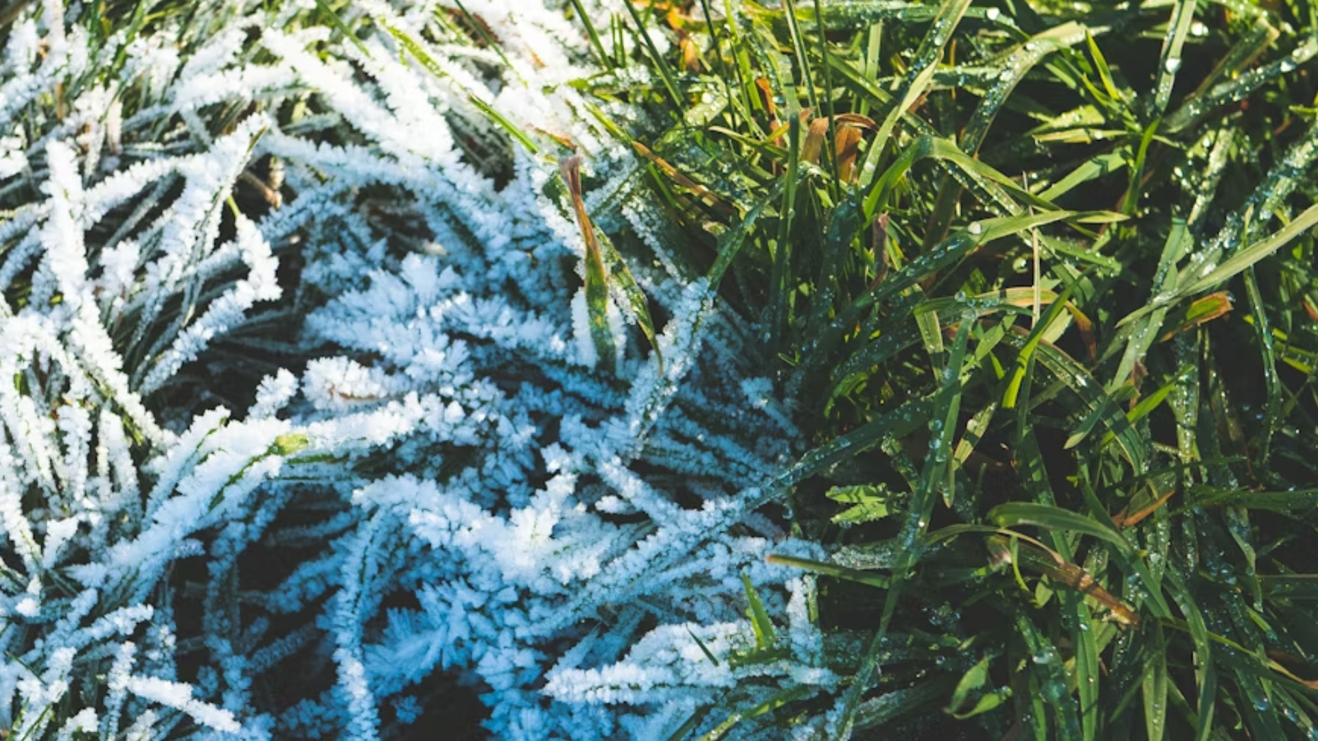 Scientists found a mystery 'warming hole' across the US where ...