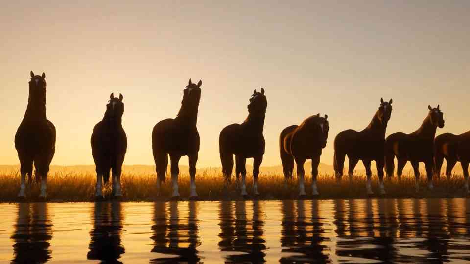 How horses changed America