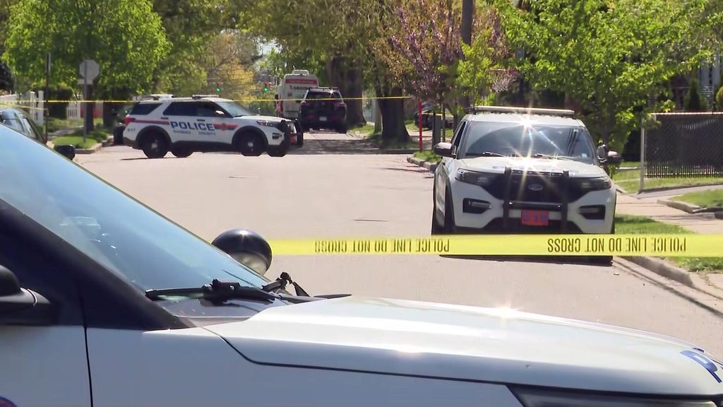 Suspect in custody after 2 people stabbed to death on Long Island ...